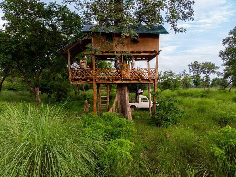 Bardiya National Park: Treehouse Stay with Wildlife Safari - What To Expect