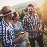 Barefoot Luxury Mount Tamborine Winery Tour from Gold Coast - Introduction: The Charm of Mount Tamborine’s Wine Scene