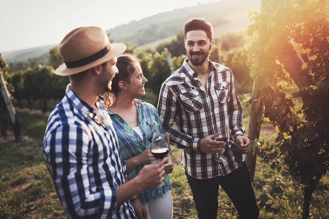 Barefoot Luxury Mount Tamborine Winery Tour from Gold Coast - Introduction: The Charm of Mount Tamborine’s Wine Scene