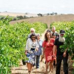 Barossa 4 Hours Wine Experience and Vineyard Walk with Lunch - Overview of the Tour