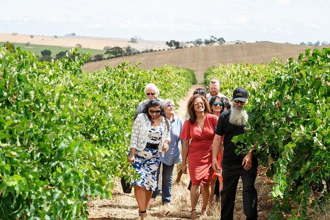 Barossa 4 Hours Wine Experience and Vineyard Walk with Lunch - Overview of the Tour