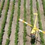 Barossa Valley: 10-Minute Scenic Helicopter Flight - The Takeoff: From Hoffnungsthal Valley