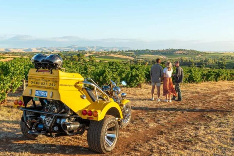 Barossa Valley: 3.5hr Trike Tour For 2 - Key Points