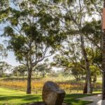 Barossa Valley: EcoVine Explorer - e-cart vineyard tour - Practicalities and Considerations