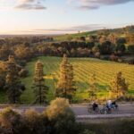 Barossa Valley: Gourmet Food and Wine E-Bike Tour - Why this tour works for travelers