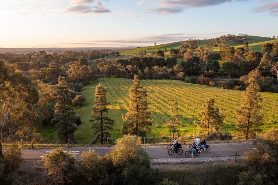 Barossa Valley: Gourmet Food and Wine E-Bike Tour - Why this tour works for travelers