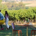 Barossa Valley: Private Helicopter Flight & Winery - Practicalities and What to Know