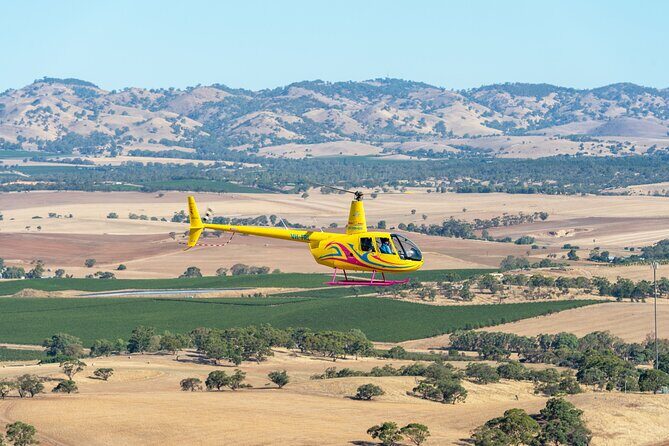 Barossa Valley Scenic Helicopter Flight & Private Wine Tour - The Value of This Tour