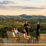 Barossa Valley: Two Hands 1.5-Hour Vineyard Tour - The Practicalities and Considerations