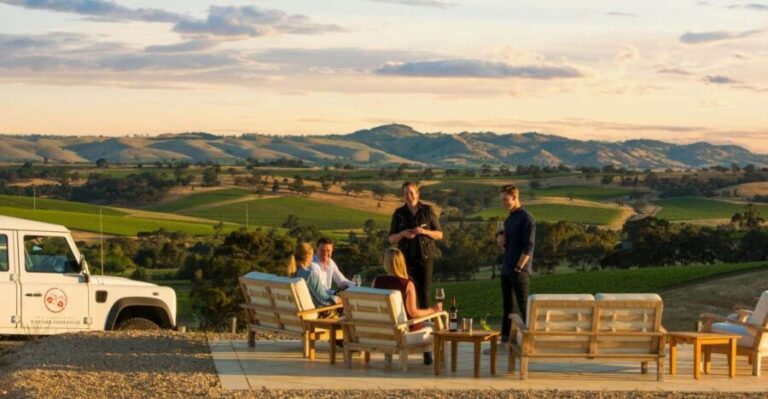 Barossa Valley: Two Hands 1.5-Hour Vineyard Tour - The Practicalities and Considerations