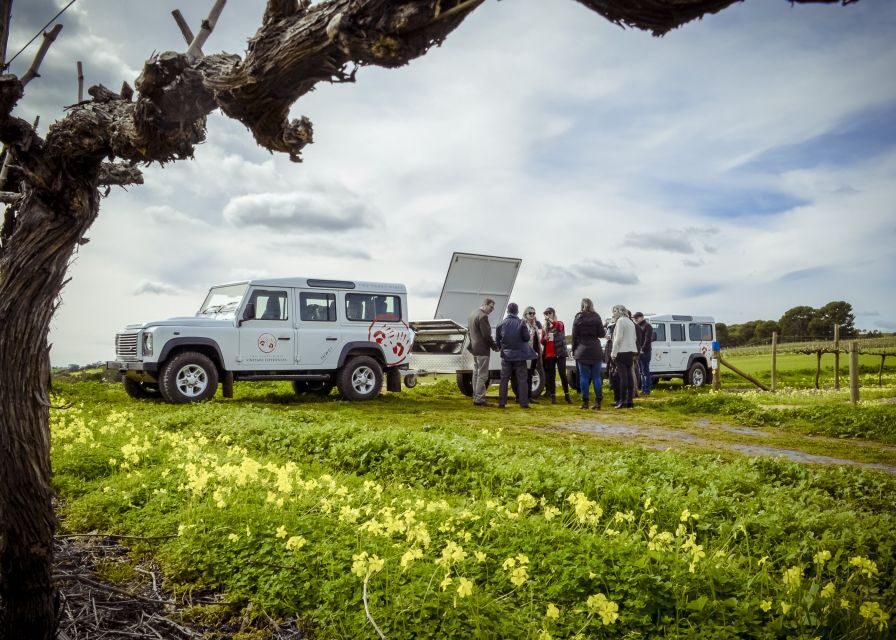 Barossa Valley: Two Hands Flagship Vineyard Experience - What We Love About This Tour