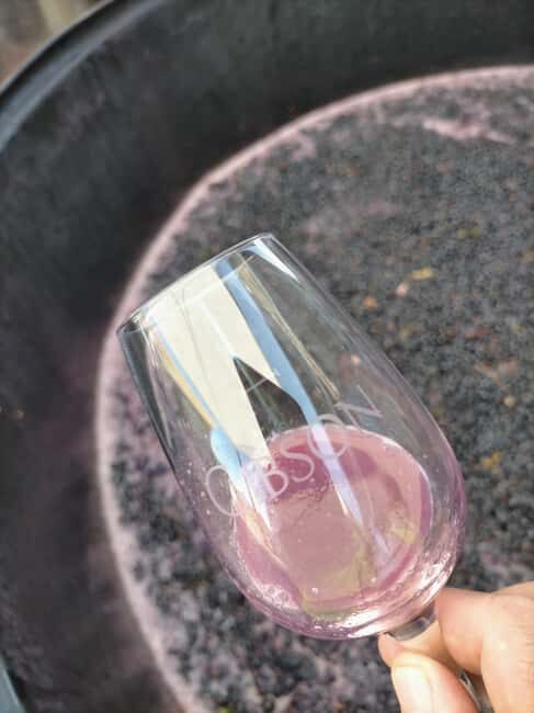 Barossa: Wine Tasting Tour including Lunch - FAQ