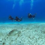 Basic Diver - Bautismo - Detailed Itinerary & What Youll Experience