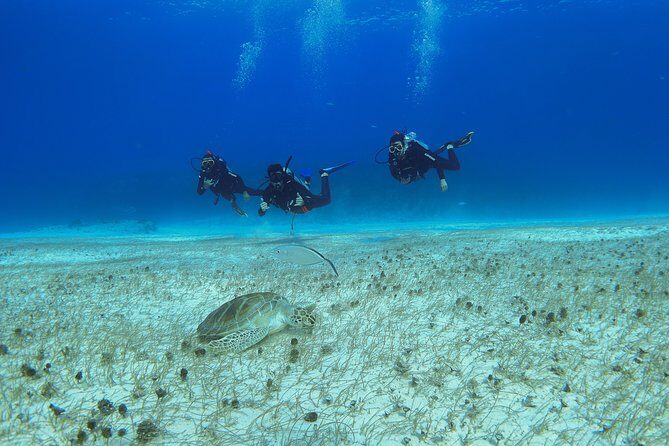 Basic Diver - Bautismo - Detailed Itinerary & What Youll Experience