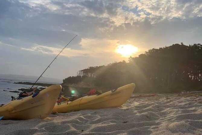 Batemans Bay Overnight Kayak Camping Tour from Canberra - All Inclusive - Analyzing the Cost and Value
