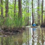 Baton Rouge: Kayak Tour Through the Historic Atchafalaya - Practical Tips for a Great Experience