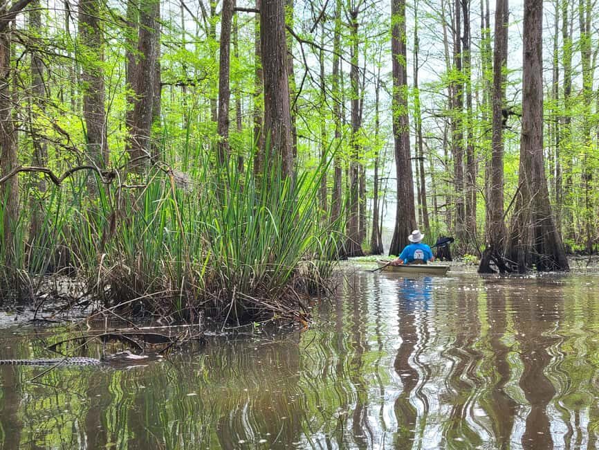 Baton Rouge: Kayak Tour Through the Historic Atchafalaya - Practical Tips for a Great Experience