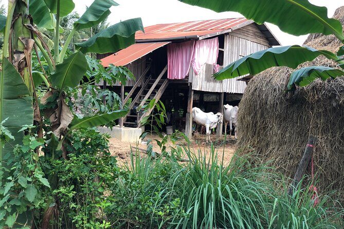 Battambang Private afternoon tour bamboo train bat cave & village - Who Should Consider This Tour?