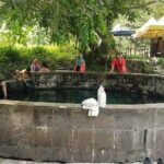 Batu Caves,Waterfalls and Hot Springs Tour With Lunch - Who Will Love This Tour?