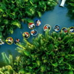 Bay Mau Coconut Forest and Hoi An tour: From Da Nang/ Hoi An - Final Thoughts: Who Will Love This Tour?