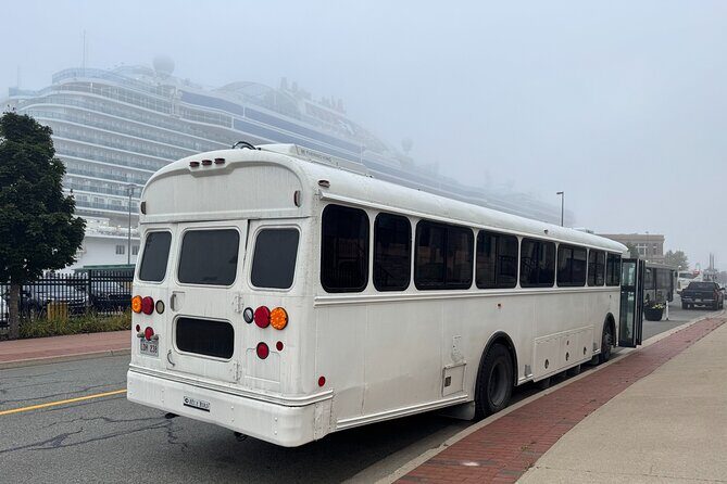 Bay Of Fundy Guided Tour - Transportation and Group Experience