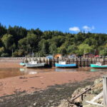 Bay of Fundy Tour by Luxury Car - Reversing Falls Rapids: Nature’s Surprising Showcase