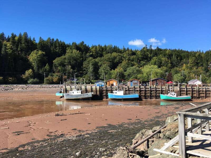 Bay of Fundy Tour by Luxury Car - Reversing Falls Rapids: Nature’s Surprising Showcase