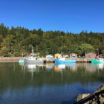 Bay of Fundy Tour by Mini Van - The Vehicle and Comfort Considerations