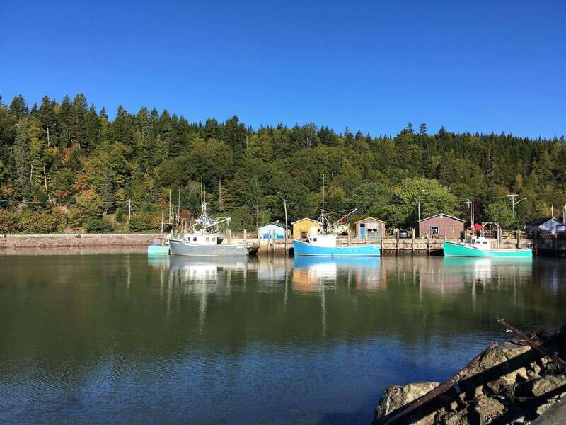 Bay of Fundy Tour by Mini Van - The Vehicle and Comfort Considerations
