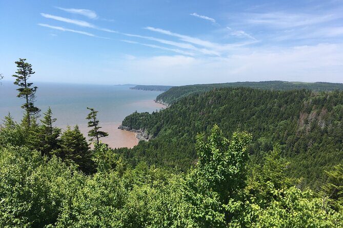 Bay of Fundy Tour in Luxury Car - Who Will Love This Tour?