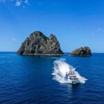 Bay of Islands 2-Day Small Group Tour & Cruise from Auckland - Why We Love This Tour: Highlights That Matter