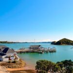 Bay of Islands Discovery Experience from Auckland incl. Hole In The Rock Cruise - What Do the Reviews Reveal?