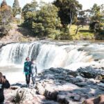 Bay of Islands Glow Worm Caves & Scenic Shore Excursion - The Itinerary in Detail: What to Expect