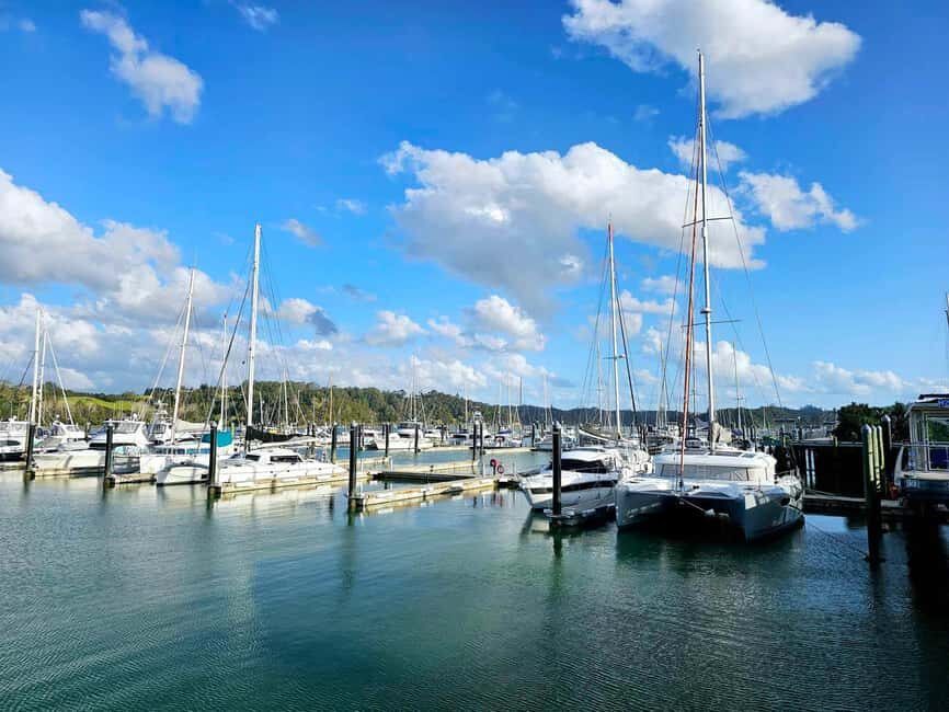 Bay of Islands - Mini Tour (75-90 mins) - What to Expect: The Details