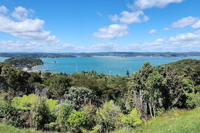 Bay of Islands Scenic Tour - A Value-Driven Experience