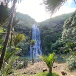 Bay of the Boisterous Seas Piha & Karekare - Practical Details: What to Know Before You Go