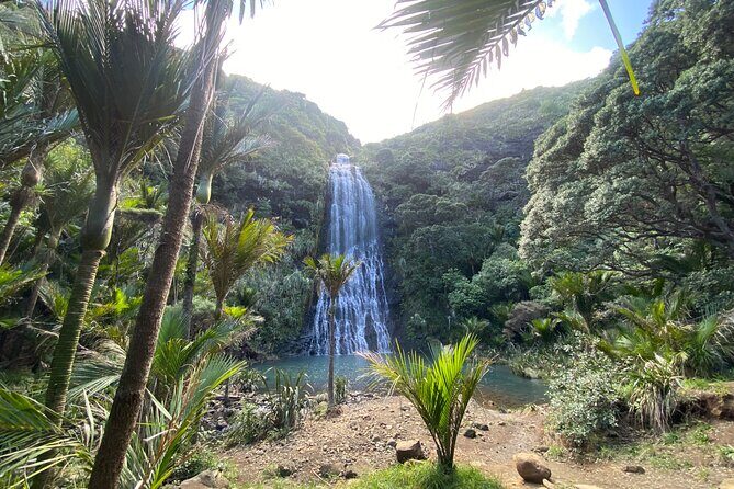 Bay of the Boisterous Seas Piha & Karekare - Practical Details: What to Know Before You Go