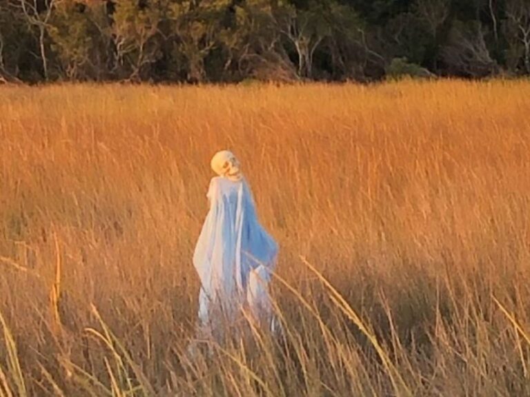 Bay Saint Louis, MS: The Haunted Bayou Cruise - Background on the Experience Provider