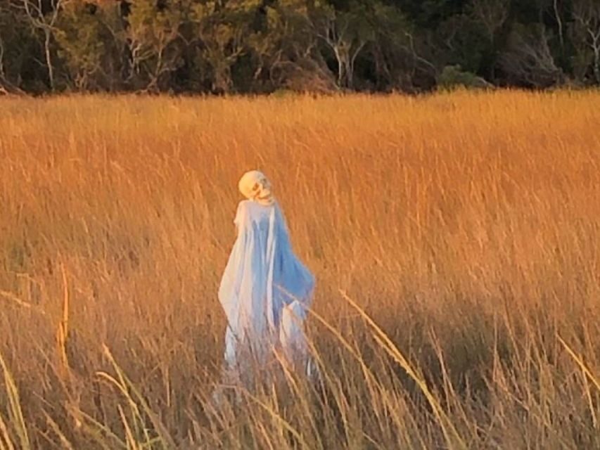 Bay Saint Louis, MS: The Haunted Bayou Cruise - Background on the Experience Provider