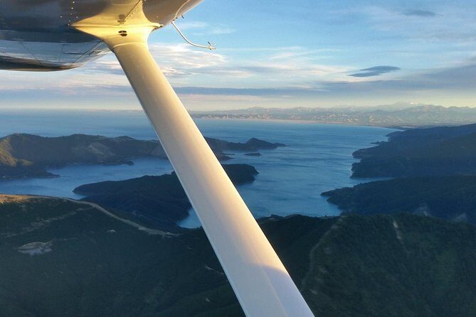 Bays and Bush Flight Scenic Tour - The Experience: What Travelers Say