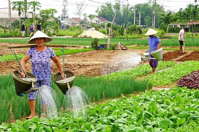 Be a Famer in Tra Que Vegetable Village and lantern making experiences day trip - Detailed Breakdown of the Itinerary