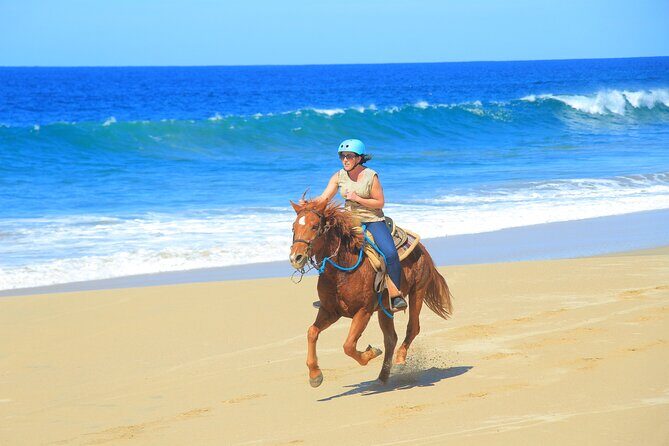 Beach ATV and Horseback Ride Combo Tour in Cabo - The Reality of Reviews and Feedback
