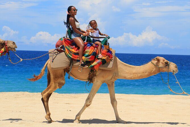 Beach ATV & Camel Ride COMBO in Cabo by Cactus Tours Park - Value for Money