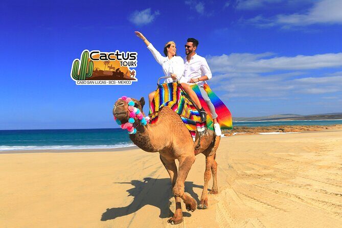 Beach Camel Ride & Encounter in Cabo - The Detailed Itinerary