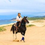 Beach Camel Ride & Sky Bike in Cabo by Cactus Tours Park - Deep Dive into the Itinerary