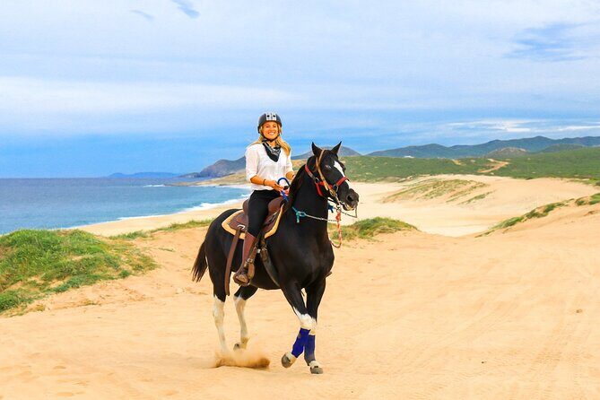 Beach Camel Ride & Sky Bike in Cabo by Cactus Tours Park - Deep Dive into the Itinerary