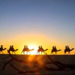 Beach CAN-AM SXS X3 & Camel Ride in Cabo by Cactus Tours Park - The Camel Encounter and Beach Ride