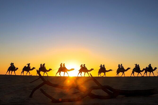 Beach CAN-AM SXS X3 & Camel Ride in Cabo by Cactus Tours Park - The Camel Encounter and Beach Ride