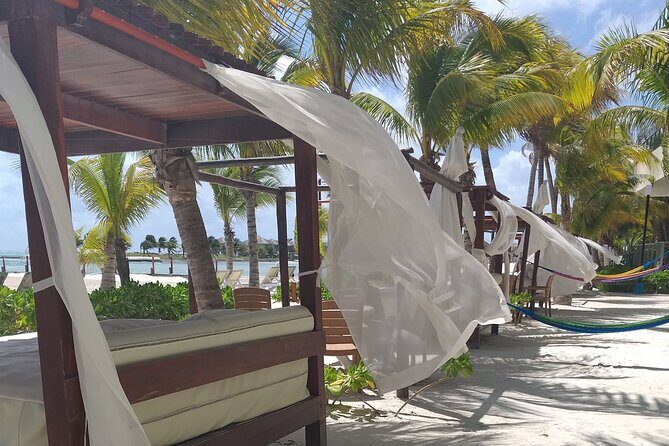 Beach Club tour with beautiful views of the Caribbean Sea. Transport included - Who Would Enjoy This Tour Most?