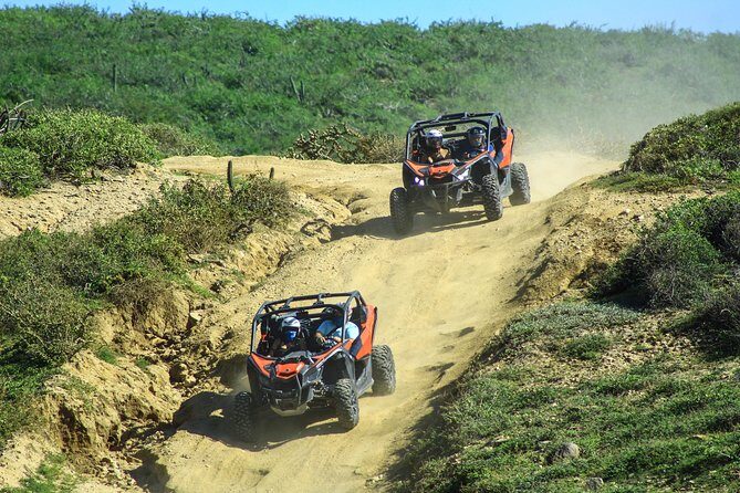 Beach & Desert Premium X3 UTV Tour in Cabo by Cactus Tours Park - Stop 1: Cactus Tours and the Driving Experience